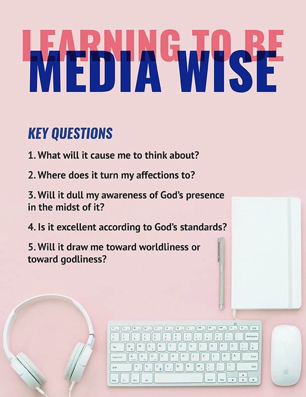 media_wise_web - Little Light Studios